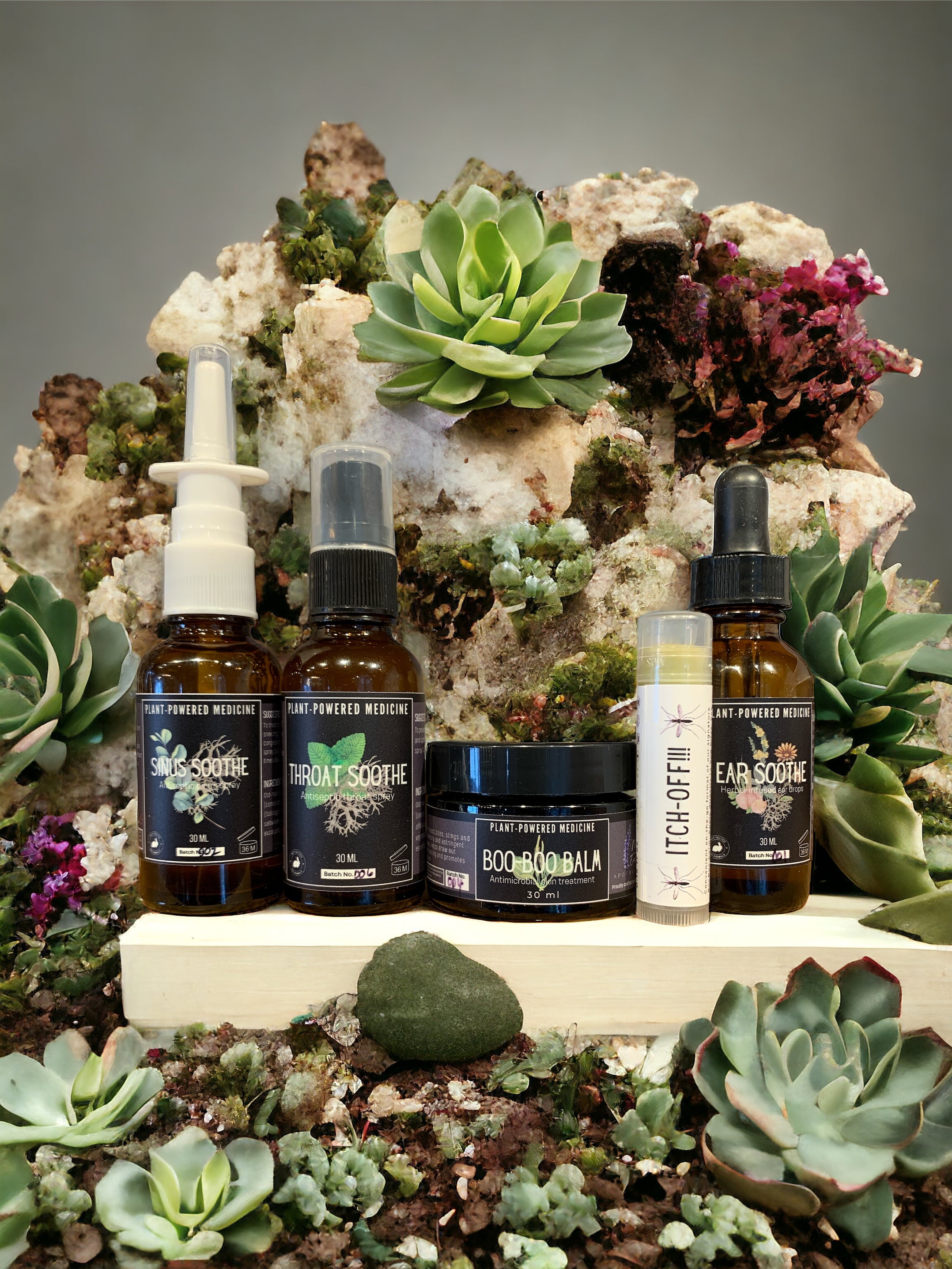 Herbal First Aid Starter Kit – Nor'East Apothecary